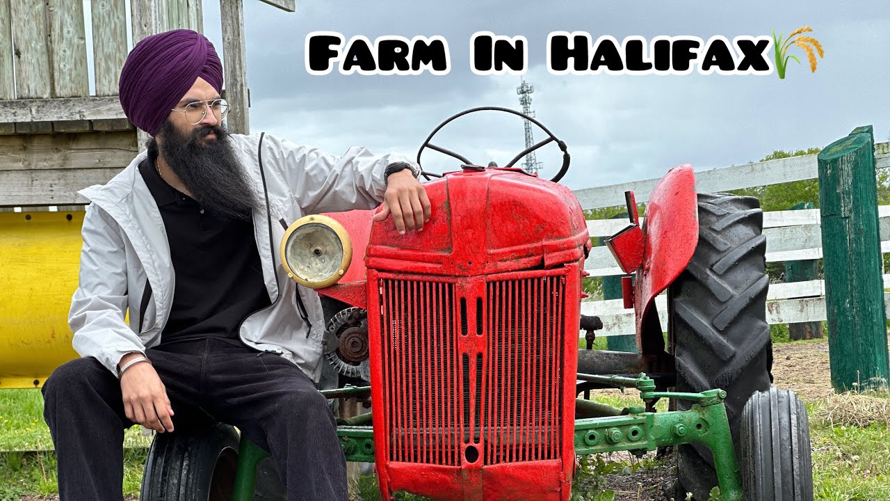 Best Farm to visit Near Halifax || Horses, Goats, Pigs, Hen || Nova ...