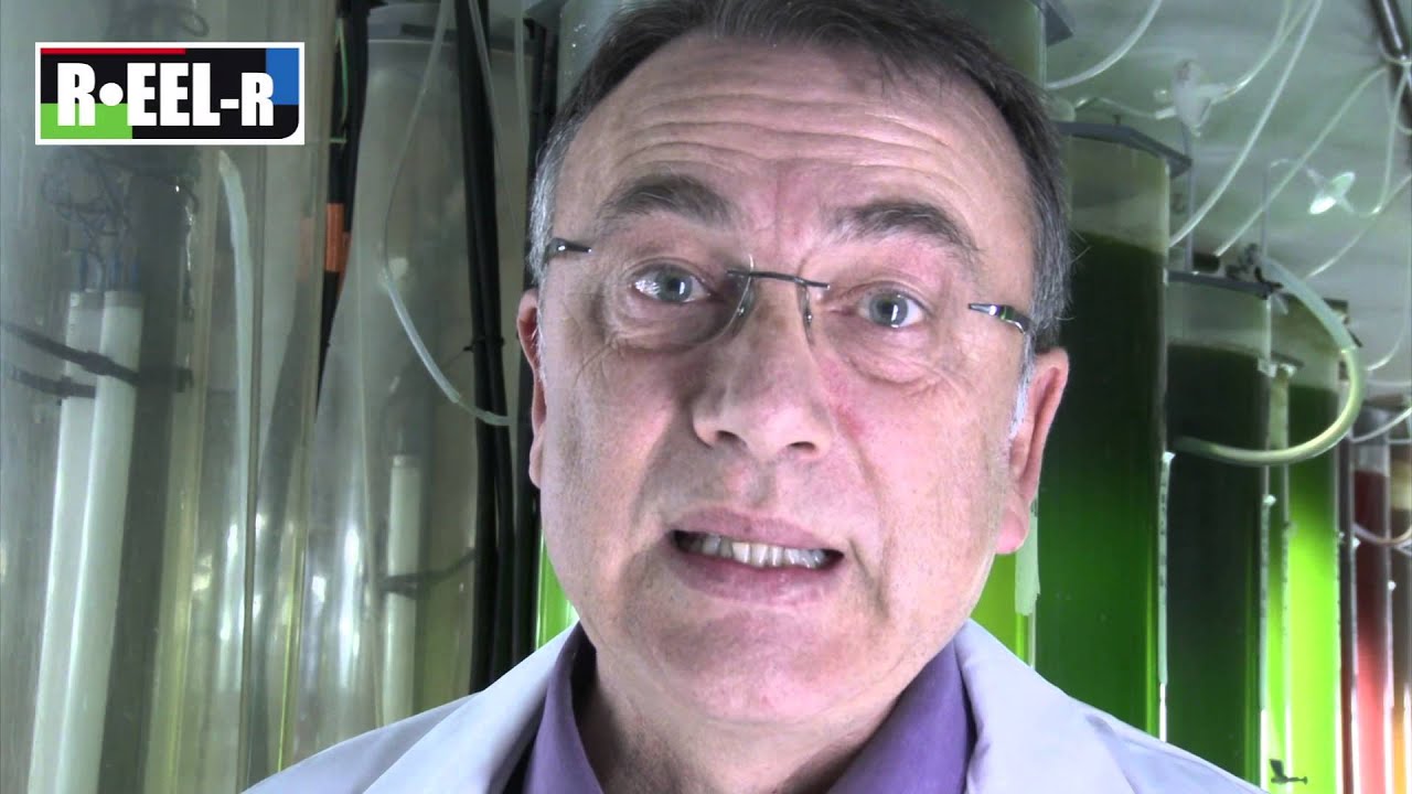 Cahiers REEL-R - Jean-Paul CADORET, Green Sea - YouTube