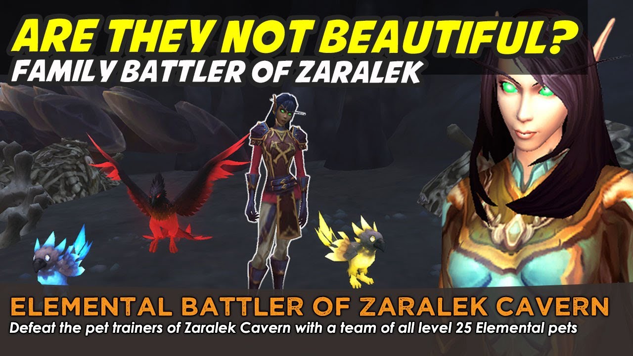 Shinmura (Elemental team) - Family Battler of Zaralek Cavern - YouTube