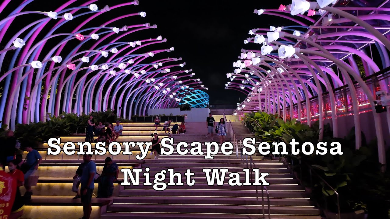 SensoryScape Sentosa Night Walk in 4K #singapore #nightwalk #sentosa ...