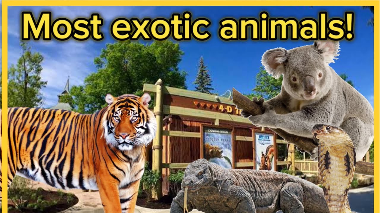 Visiting a zoo with the most exotic animals!! - YouTube