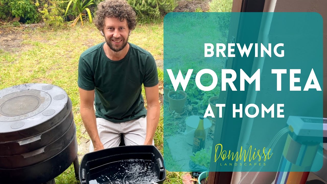 How to brew worm tea at home - YouTube