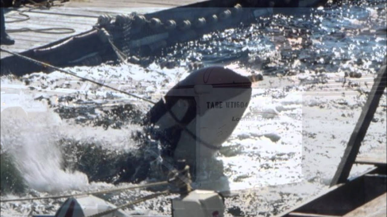 SeaWorld Abuse - YouTube