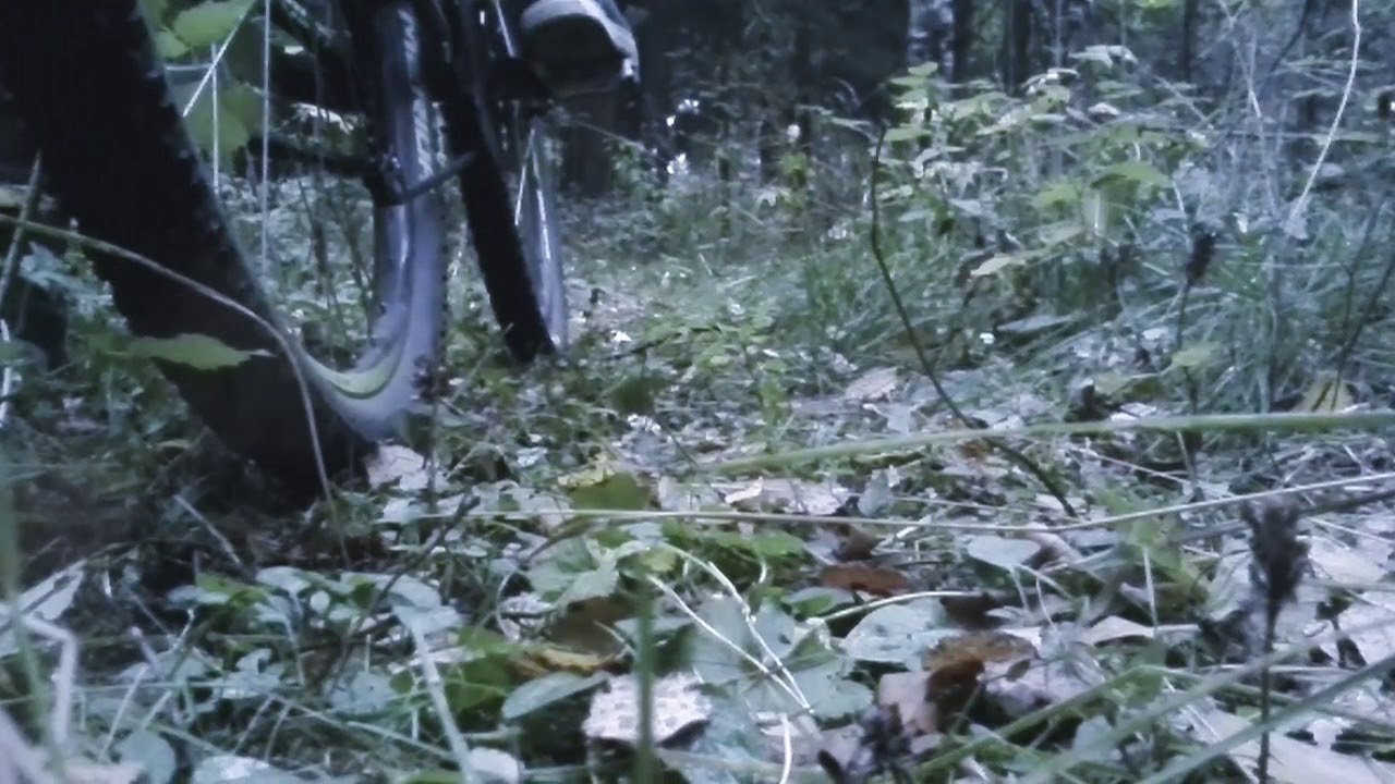 Acid forest - YouTube