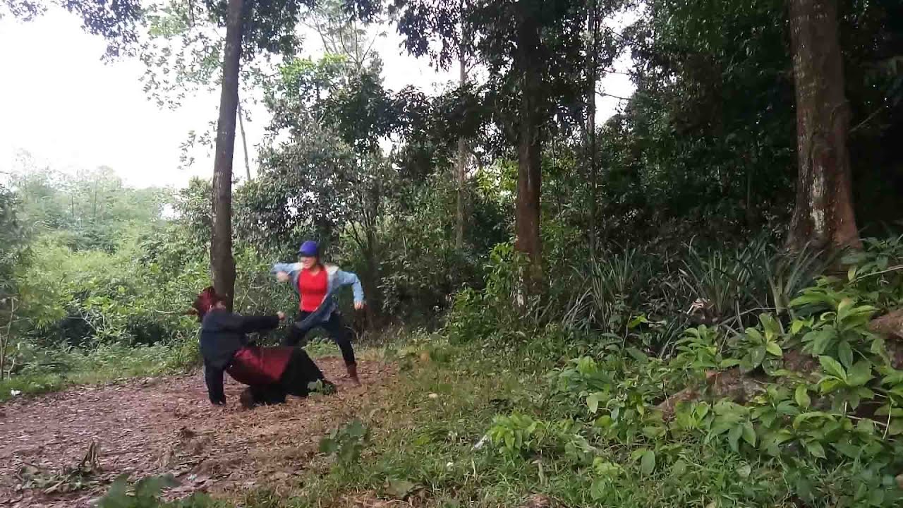 FAJAR SADBOY PENUH DENGAN KATA KATA ADEGAN INI MUTER KAYAK LATO LATO ...