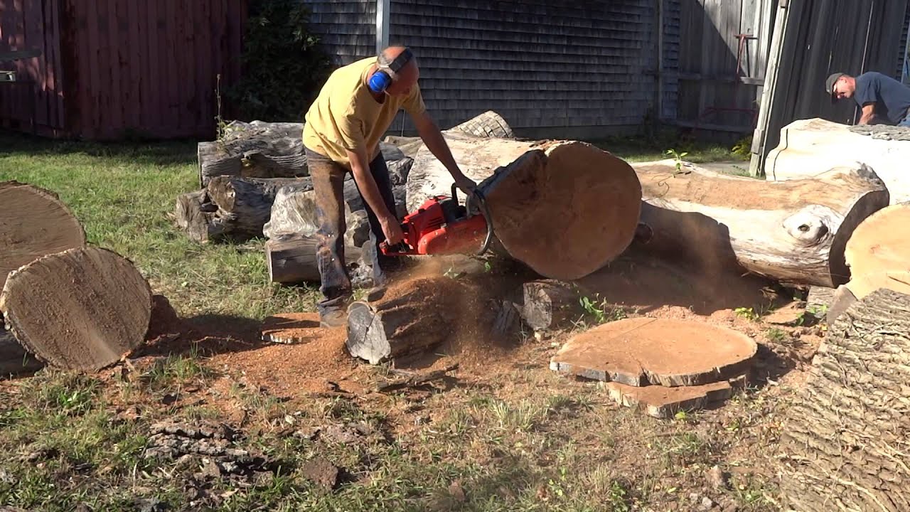 Lee's 2015 GTG Leeha Dolmar CT & DinoDave - YouTube