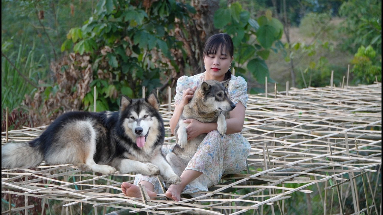 14 days in the life of a Vietnamese rural girl on a farm working and ...
