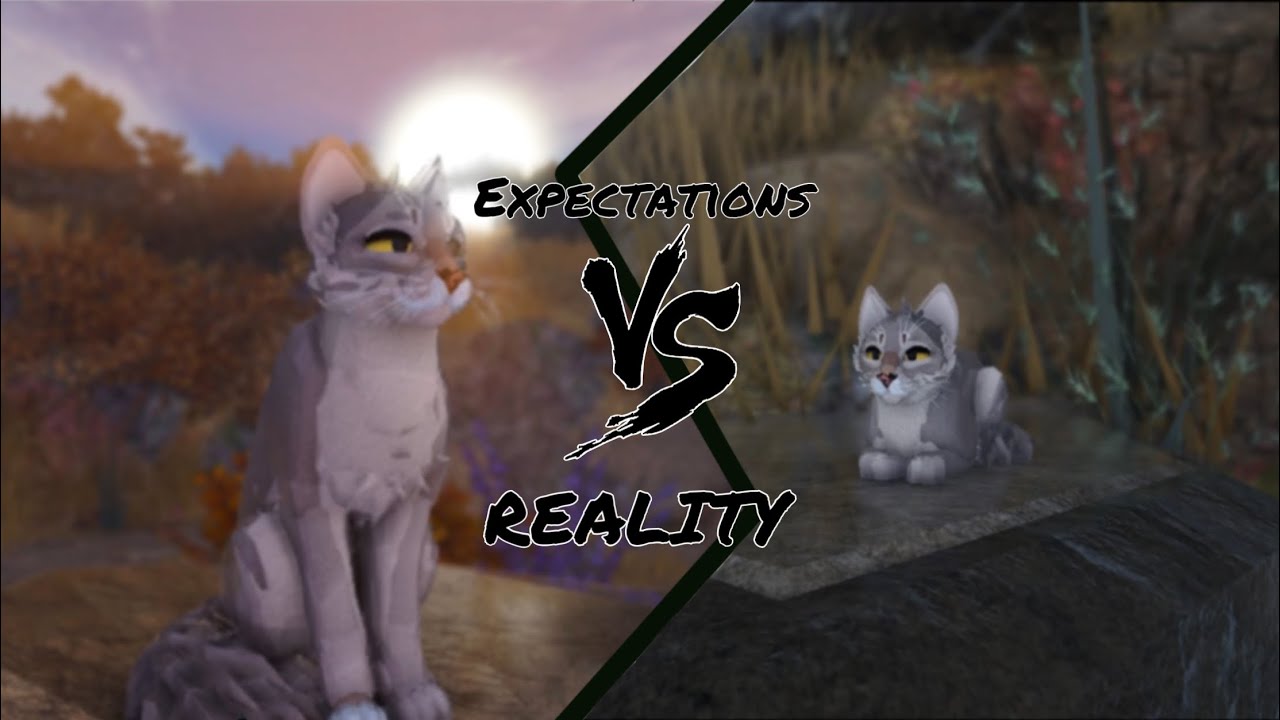 Warrior Cats: Ultimate Edition. Expectations Vs. Reality - YouTube