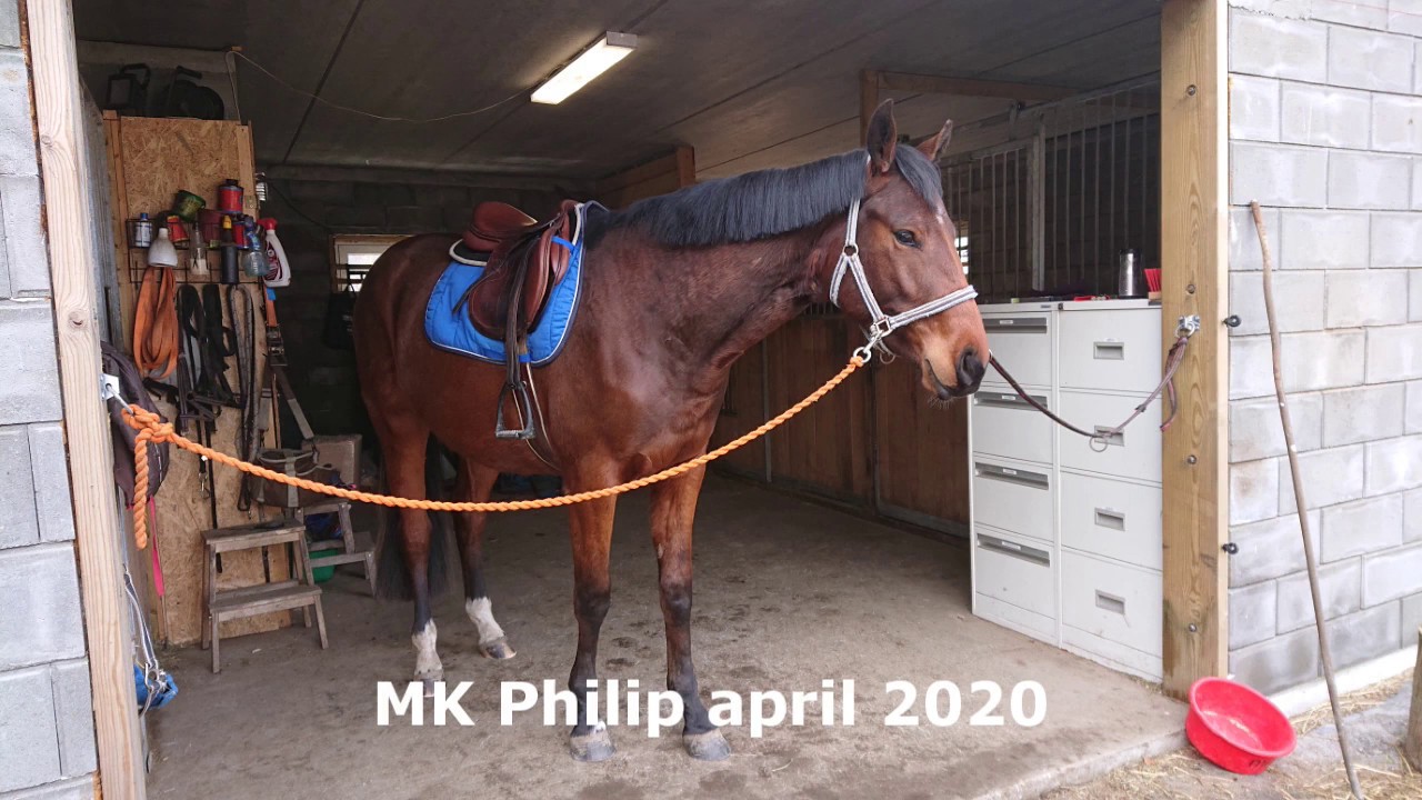 Philip april 2020 - YouTube