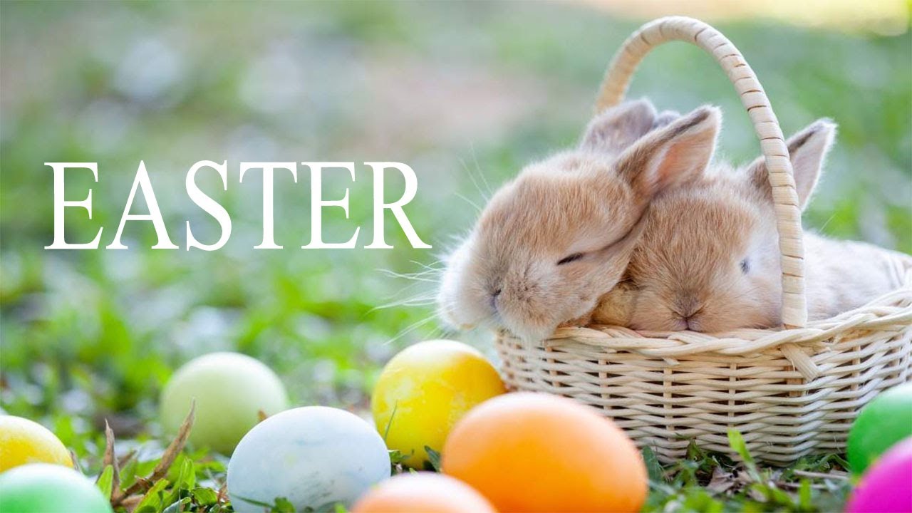 Le parole di Pasqua in inglese | Easter Words - YouTube