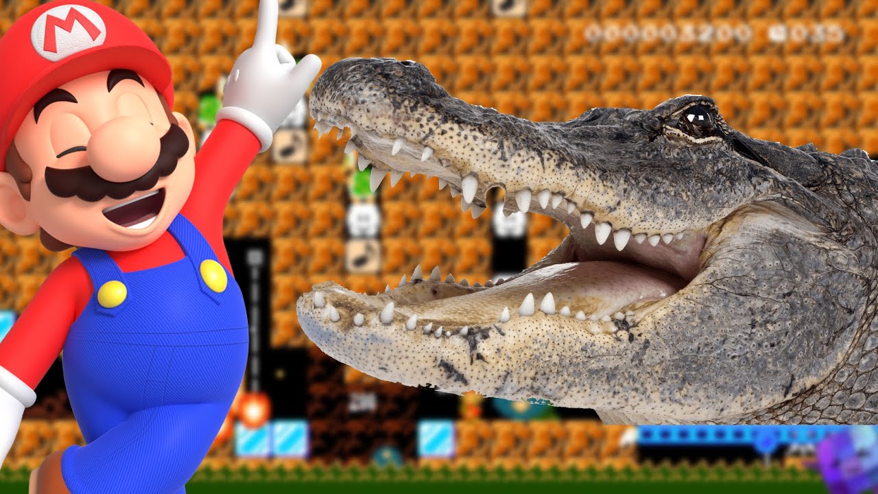 Super Mario Maker 2 🔧 Chica Cocodrilo #TSD2 🔧 The_Choi - YouTube