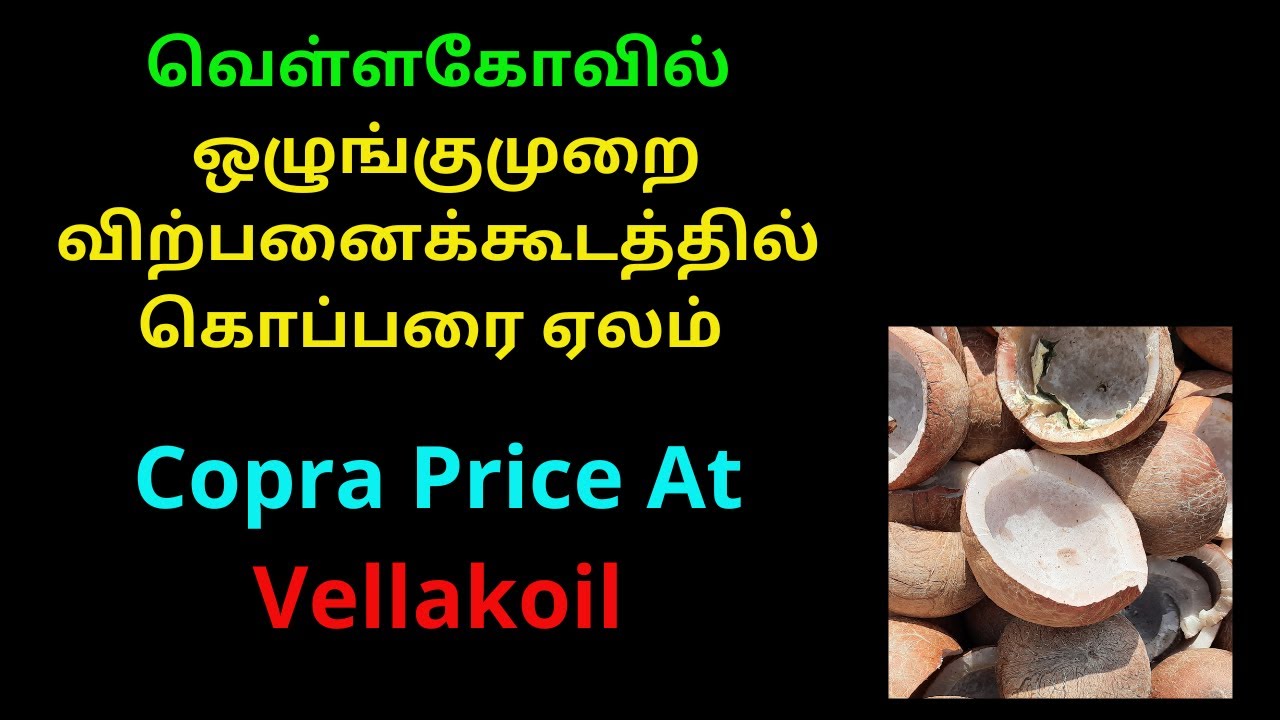 திருப்பூர் மாவட்டம் வெள்ளகோவில் கொப்பரை ஏலம் | Copra Price At Vellakoil ...