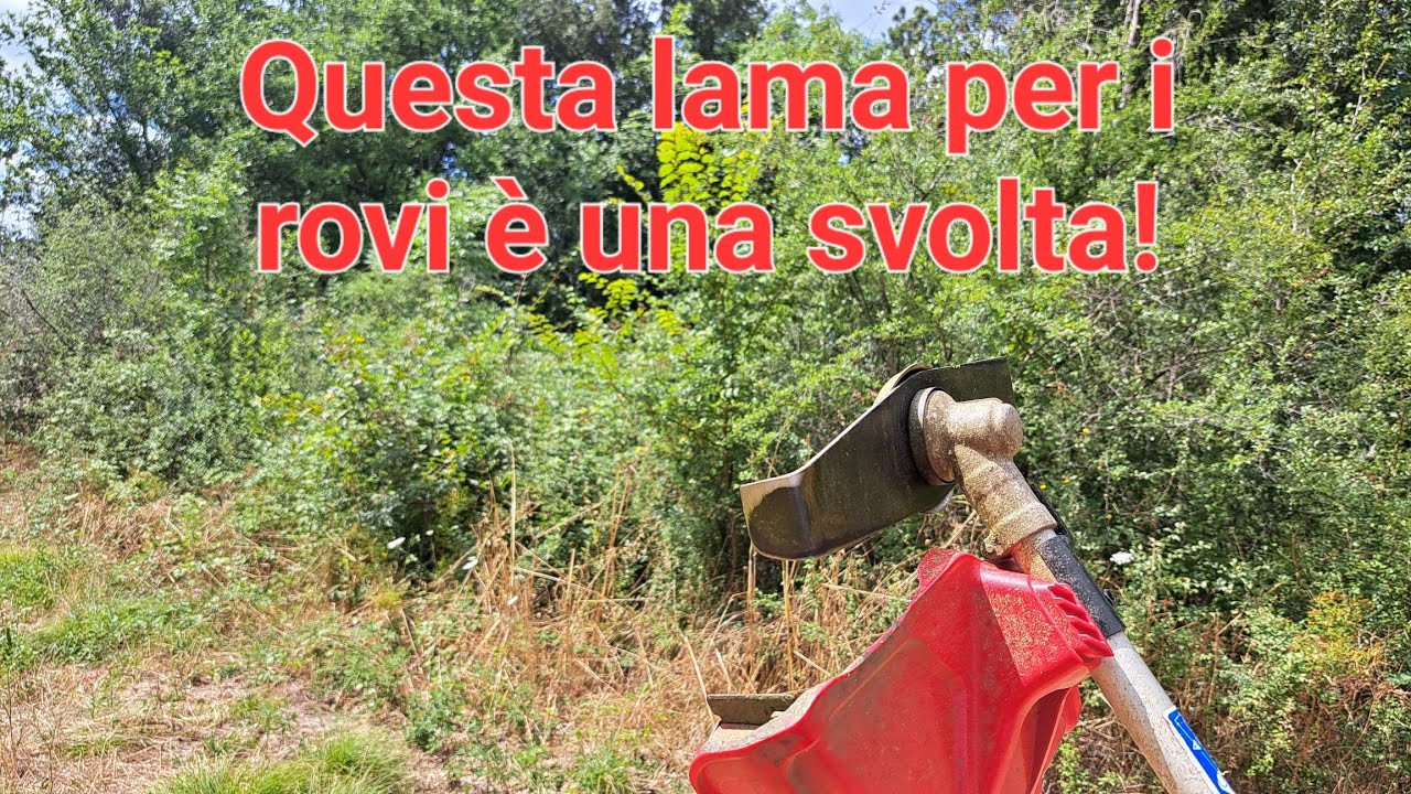 Proviamo questa lama doppia per tagliare i rovi - utilissima ed ...