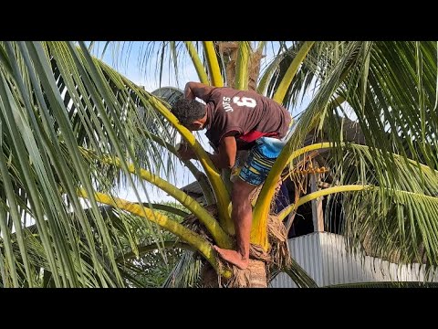Kiribati 2024 - Temwaiku Village Tour And Last Days On The Island - YouTube