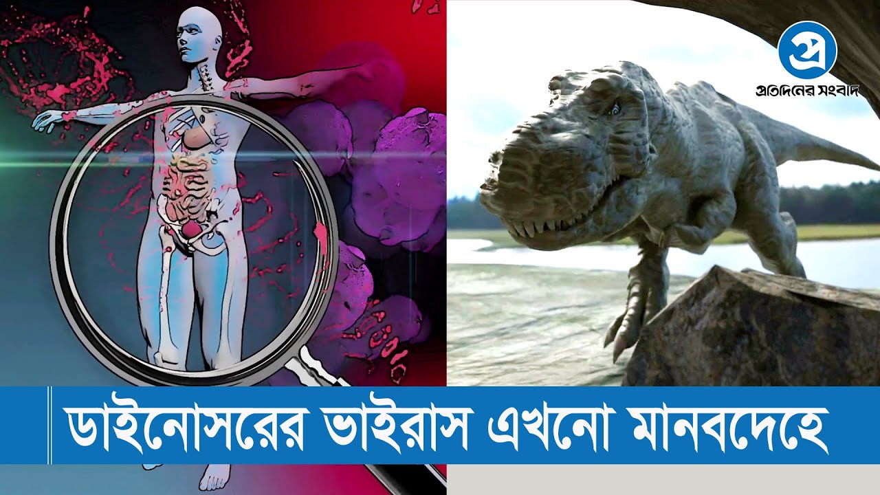 ডাইনোসরের ভাইরাস এখনো মানবদেহে | Dinosaur Virus in Human Body ...