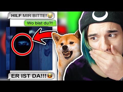 Horror WhatsApp Chat mit Hund Mamiko!