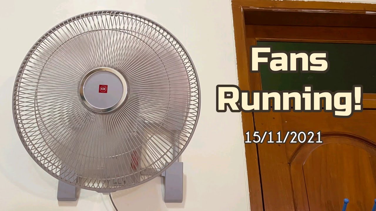 Fans Running | 15/11/2021 - YouTube