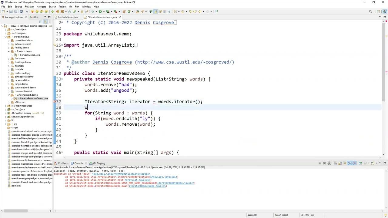 CSE 231s: Iterator Remove - YouTube