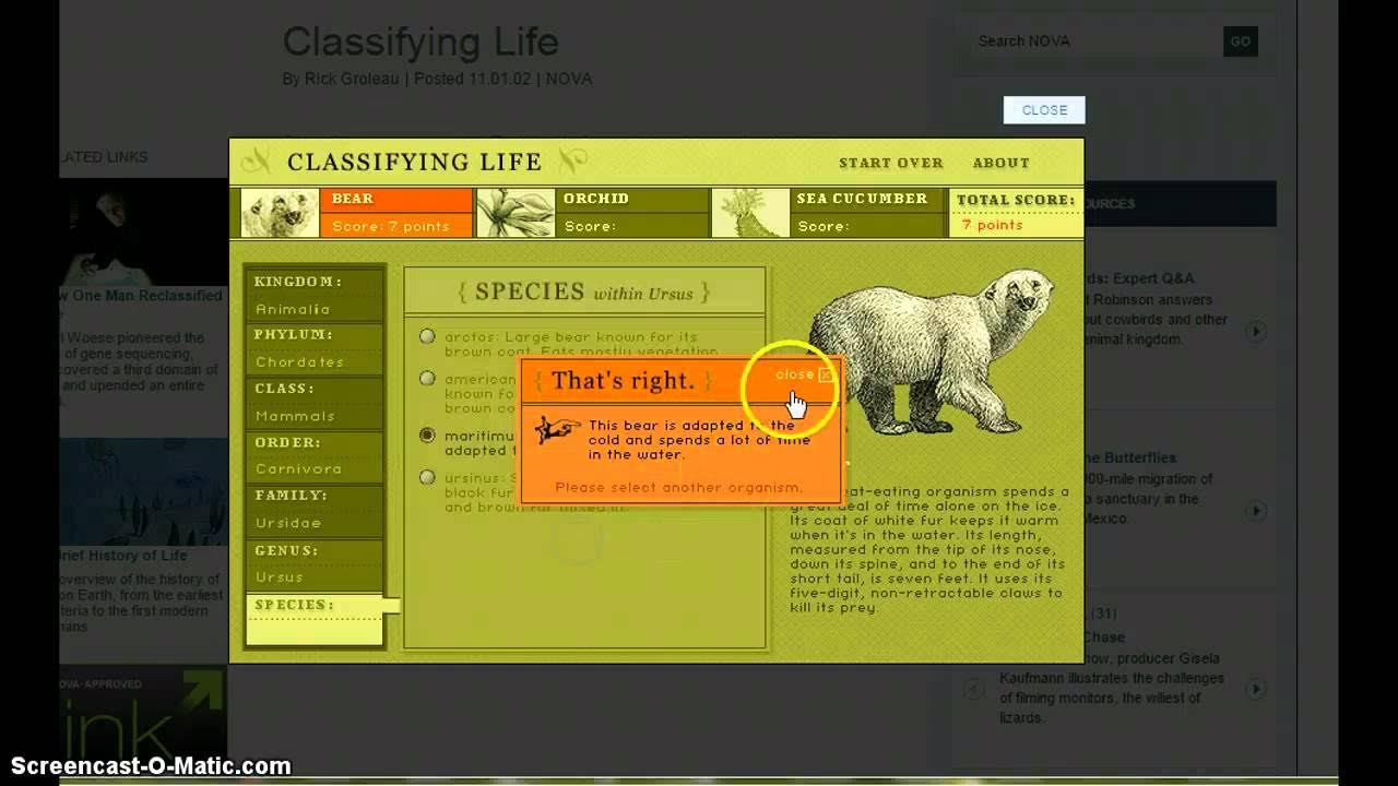 Classifying animals guided notes - BetterLesson - YouTube