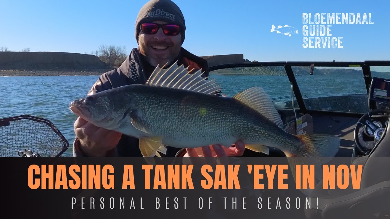 Chasing a Tank Sakakawea Walleye in November - Caught My Season PB ...