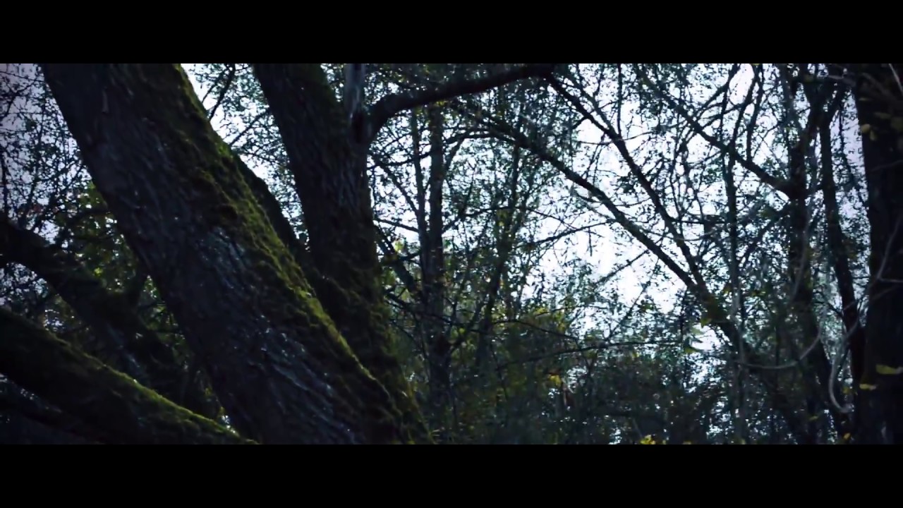 Forest - Color Grading Using Hitfilm 3 ultimate - YouTube