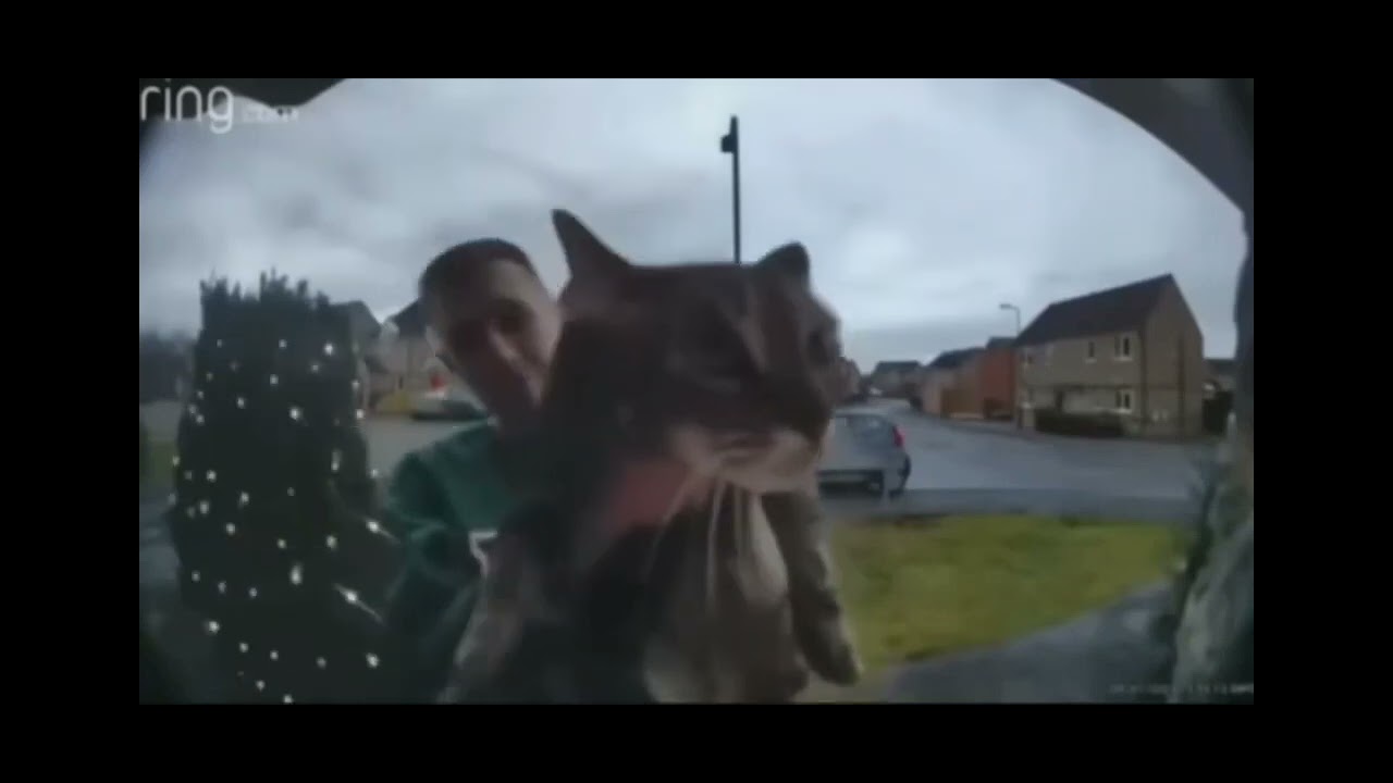 Cat gets held up to ring doorbell and says "meow" - YouTube