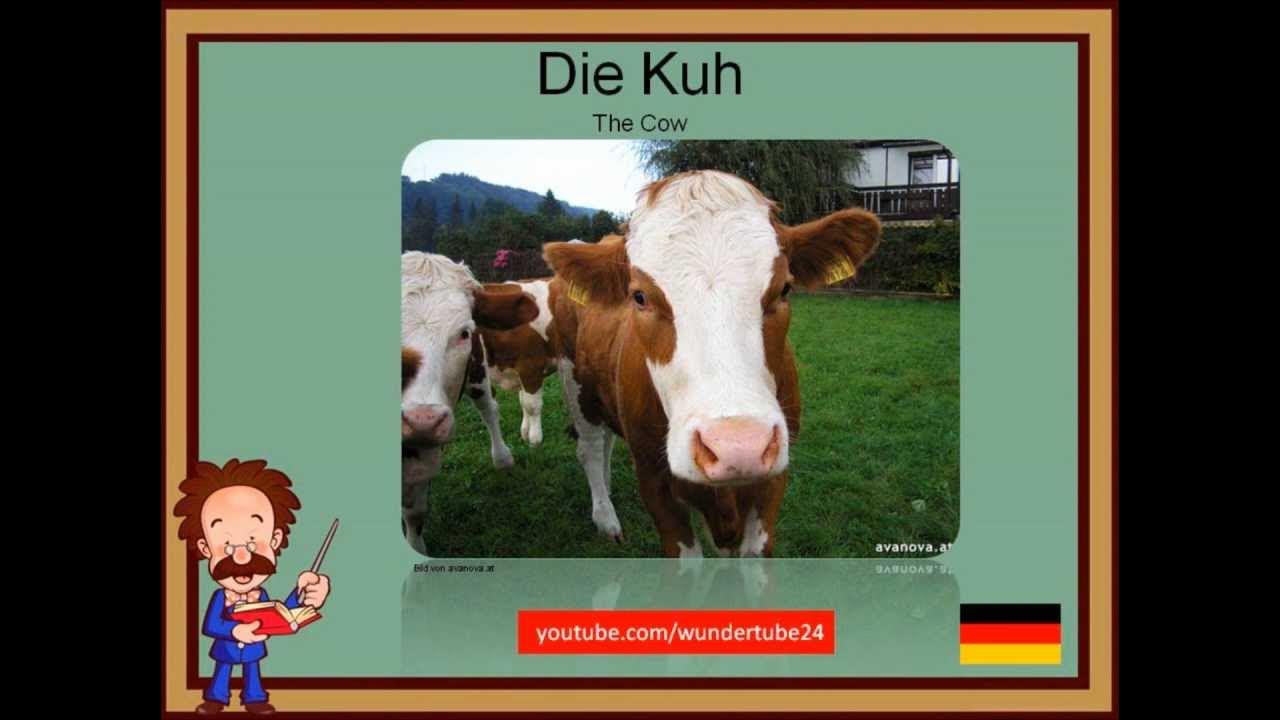 #1: LEARN GERMAN: FARM ANIMALS / DEUTSCH LERNEN: AUF DEM BAUERNHOF ...