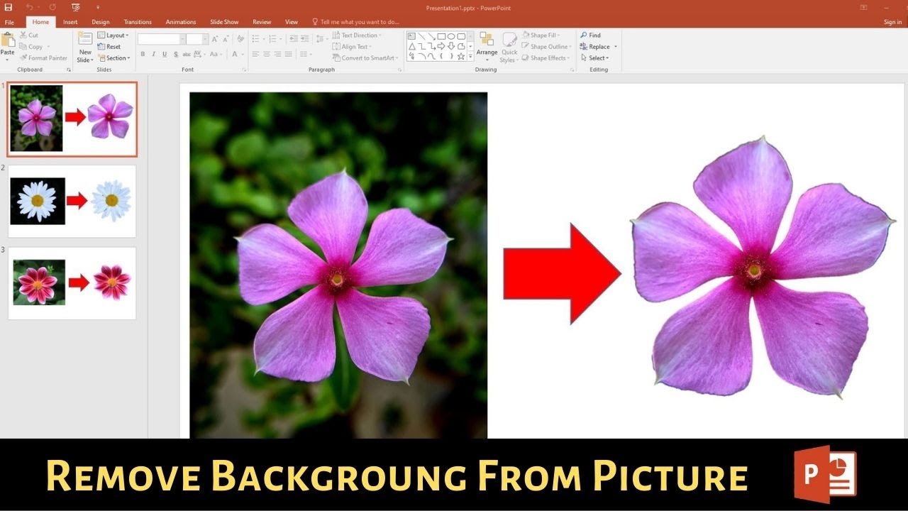 How To Remove Background From Picture In PowerPoint YouTube how-to-remove-background-from-picture-in-powerpoint-youtube