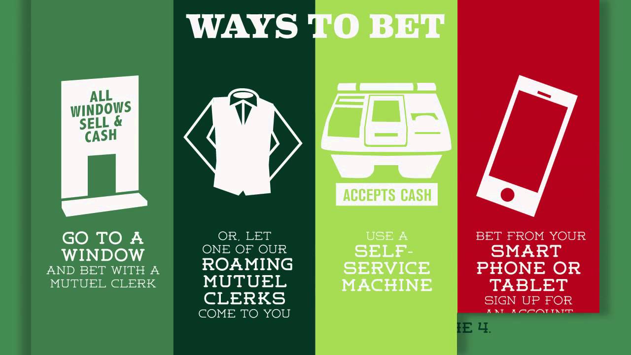 Basics of BETology - How to Place a Bet - YouTube