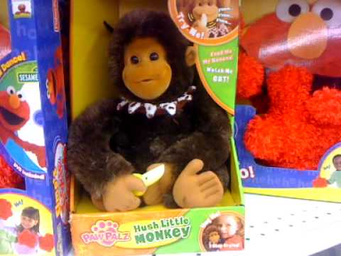 Paw Palz: Hush Little Monkey - YouTube