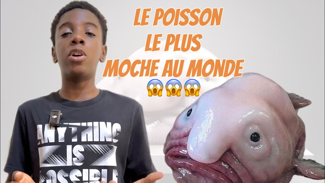 Le poisson le plus moche au monde😱😱😱 - YouTube