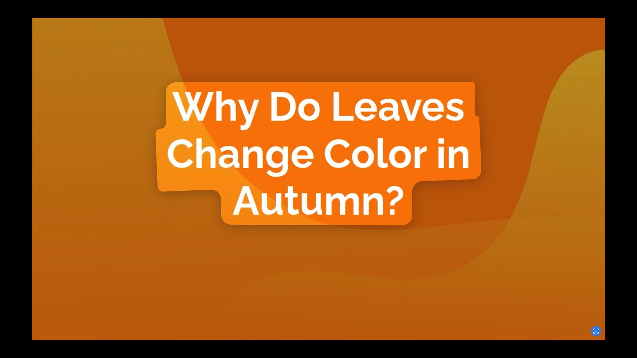 Why Do Leaves Change Color in Autumn? for Kids - YouTube
