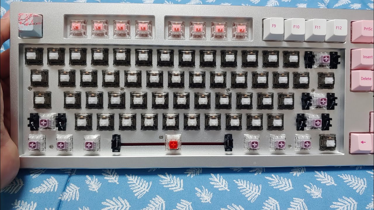 Everglide V2 Oreo Switch Typing - 에버글라이드 오레오 타건 - YouTube