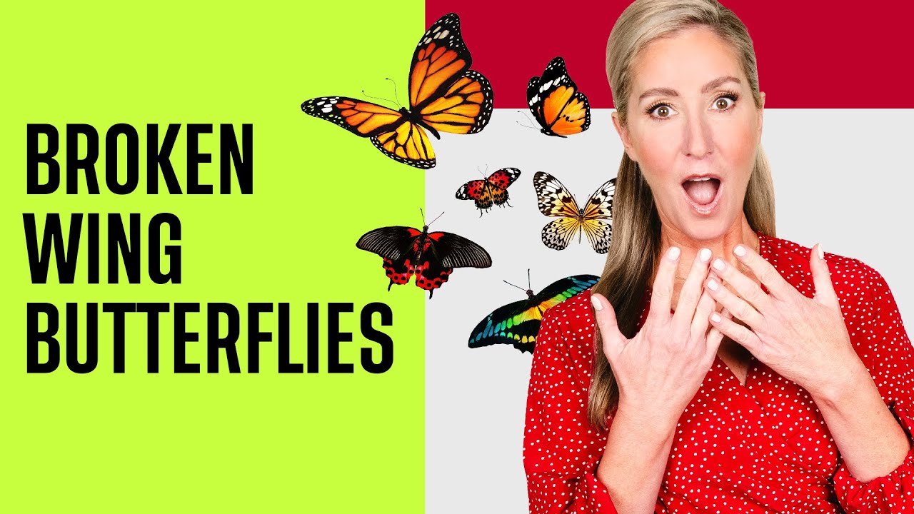 Why Are Broken Wing Butterflies Actually "Broken"? - YouTube