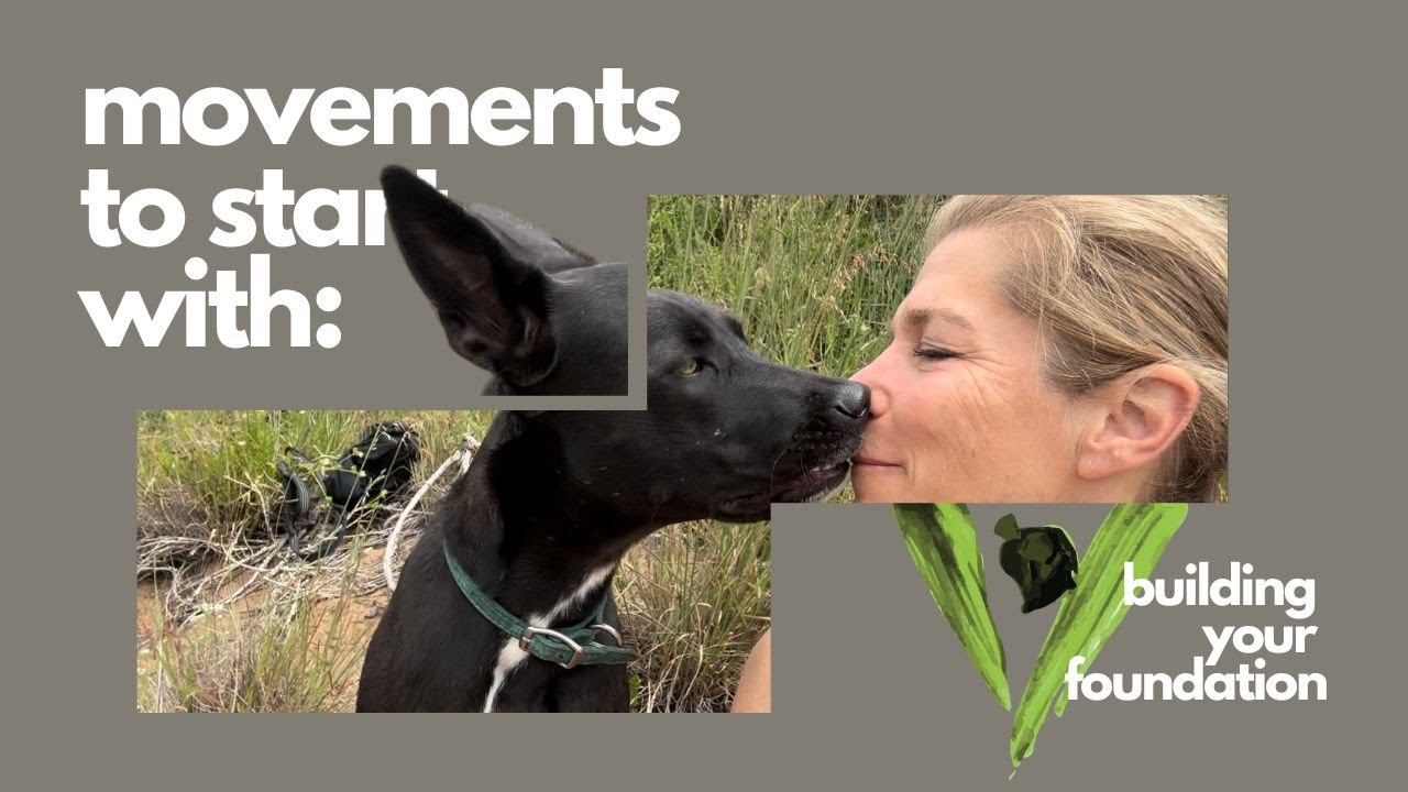 Introducing a New Movement Series for Beginners. Start Here! - YouTube