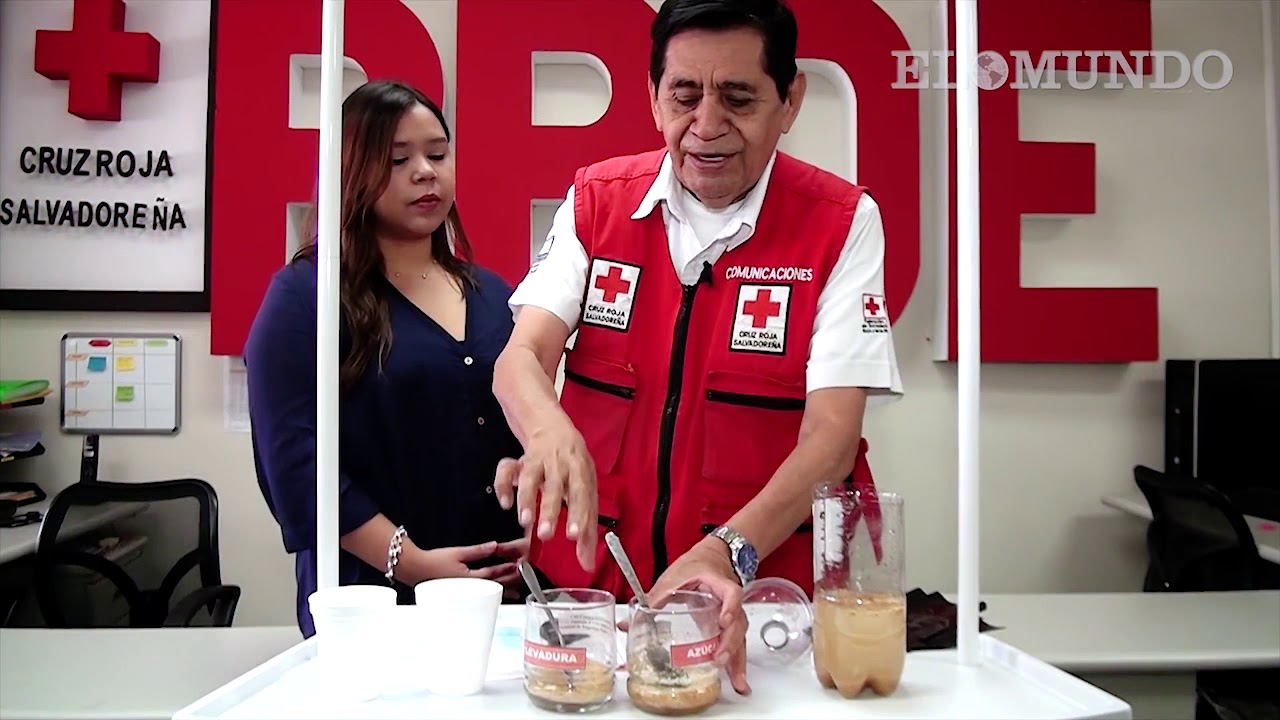 ¿Cómo armar una trampa para zancudos casero? - YouTube