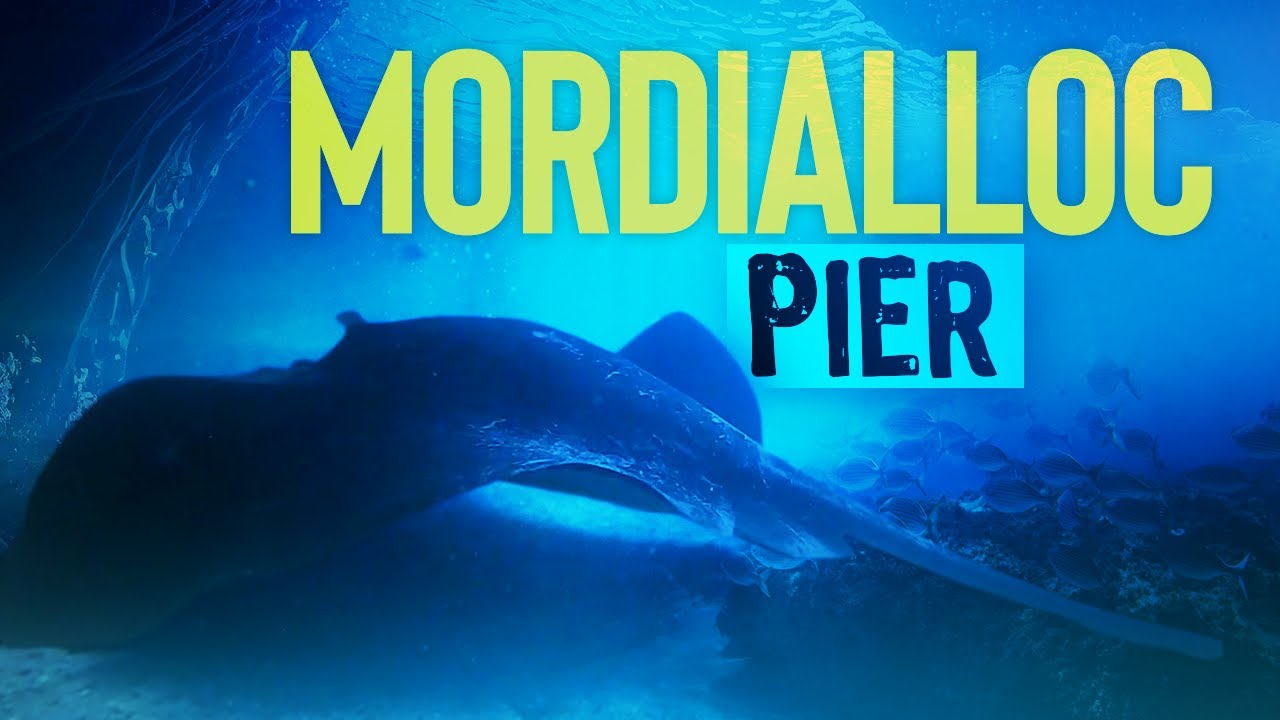 15 Minutes Under 💧 Mordialloc Pier Port Phillip Bay - YouTube