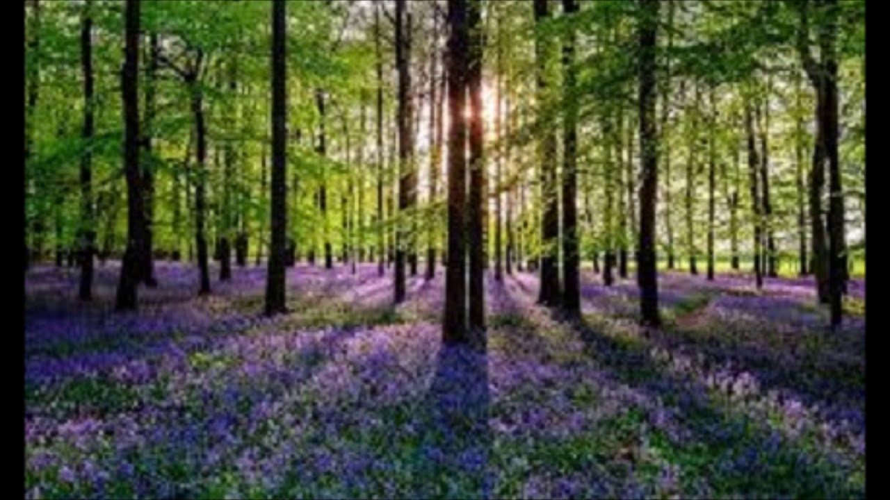 Alan Bullard: Spring Pictures - YouTube