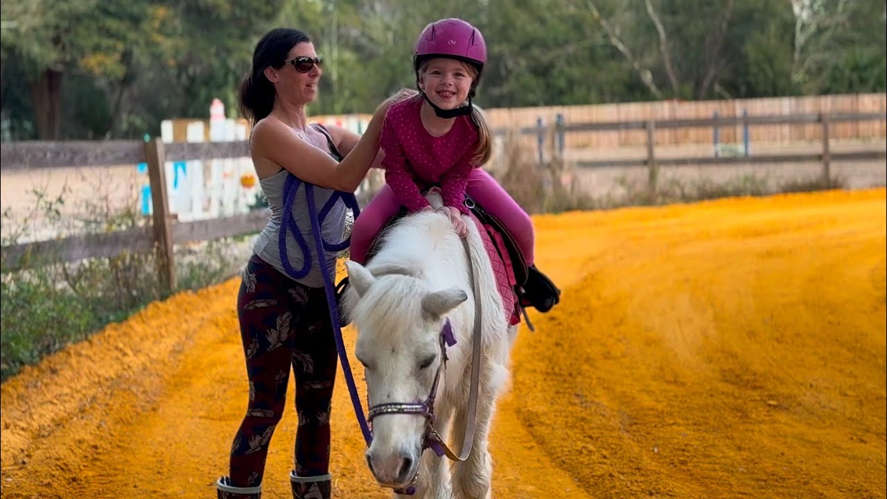 Jump Into The Hunter Jumper Class With This Riding Lesson! # ...