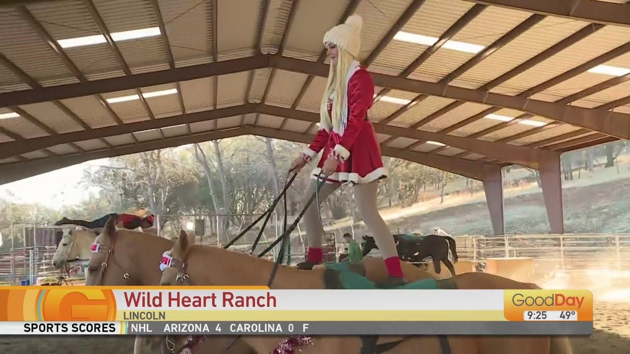 Wild Heart Ranch - YouTube