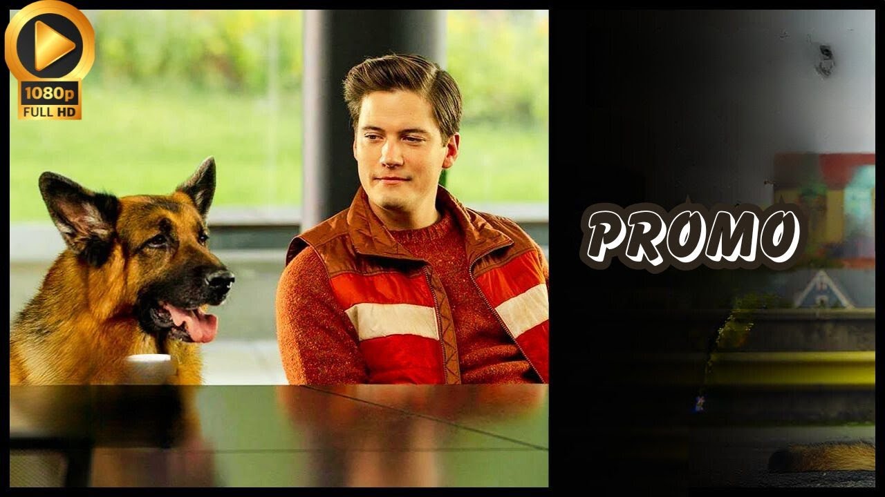 Hudson & Rex Season 7 Trailer (2025) HD CityTV | John Reardon, Mayko ...