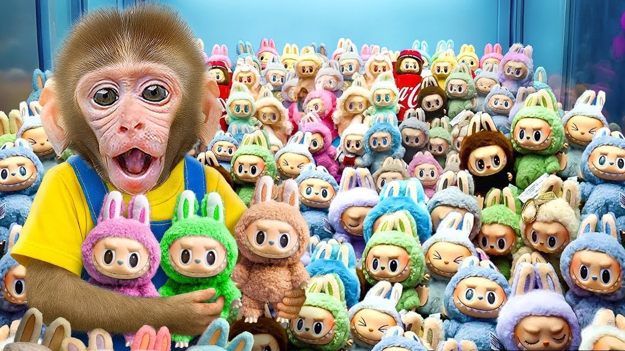 Monkey Bon Bon Meets Labulu for a Crazy Game 😲🐒 #monkey #monkeybaby # ...