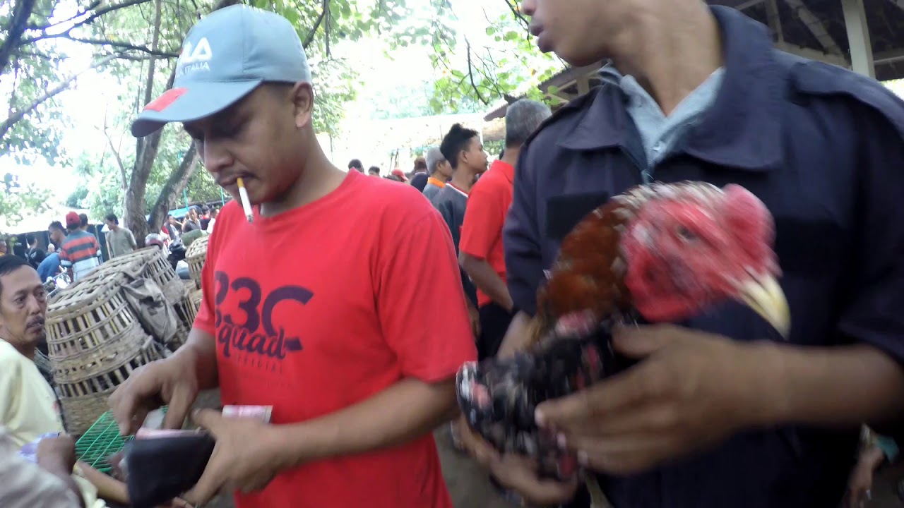 pasar pleret pasar ayam terramai di yogyakarta - YouTube