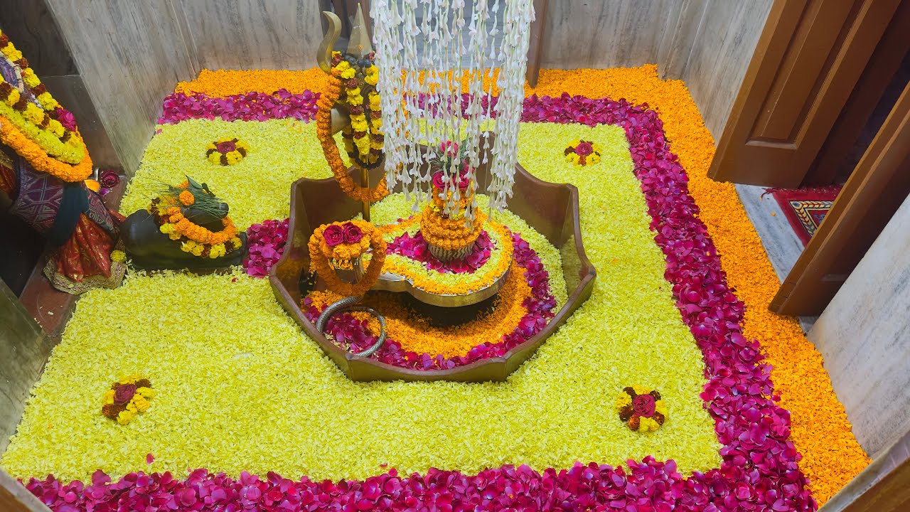 Siva ji ka Aarti in kashi Viswanathan Har Har mahadev/Ankit vatsa is ...