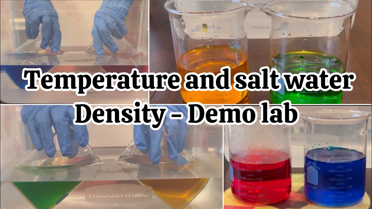 Temperature and Saltwater Density Experiment( 6th grade science ) - YouTube