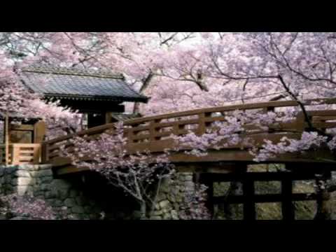 EL CEREZO ROSA - YouTube