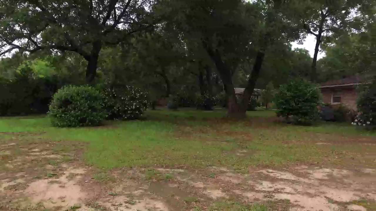 Pea Ridge / Pace, Florida 2016 - YouTube