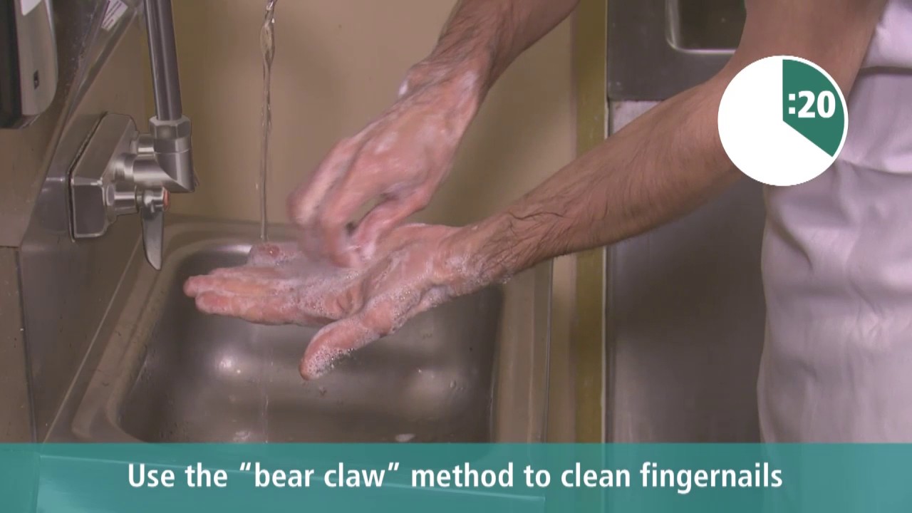 The Importance of a Hand Hygiene Regimen in Foodservice - YouTube