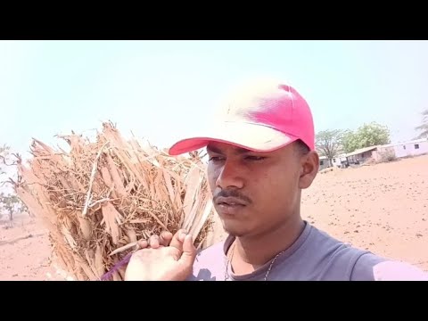 👉बिरयानी पार्टी 👈 # vijay raut vlogs 006 - YouTube