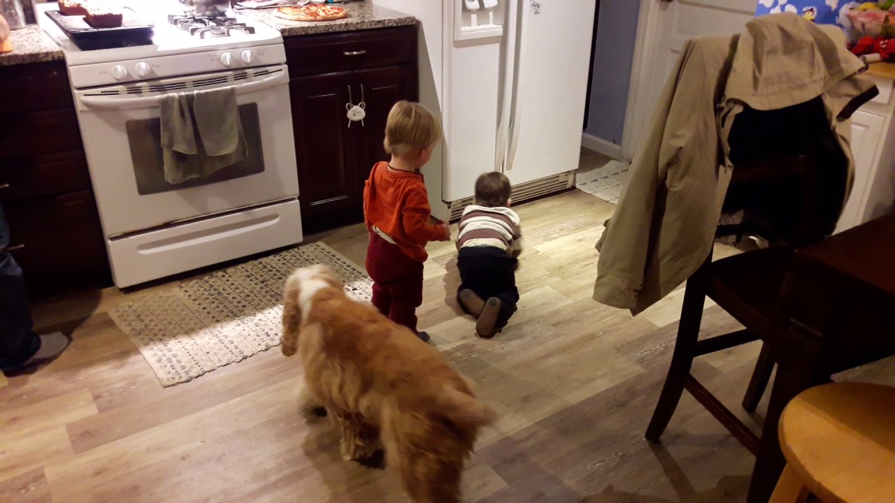 Spin then check for poop - YouTube